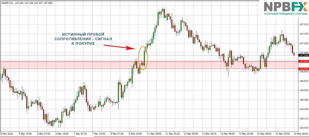 Strategi forex yang sederhana dan menguntungkan | Revieweek